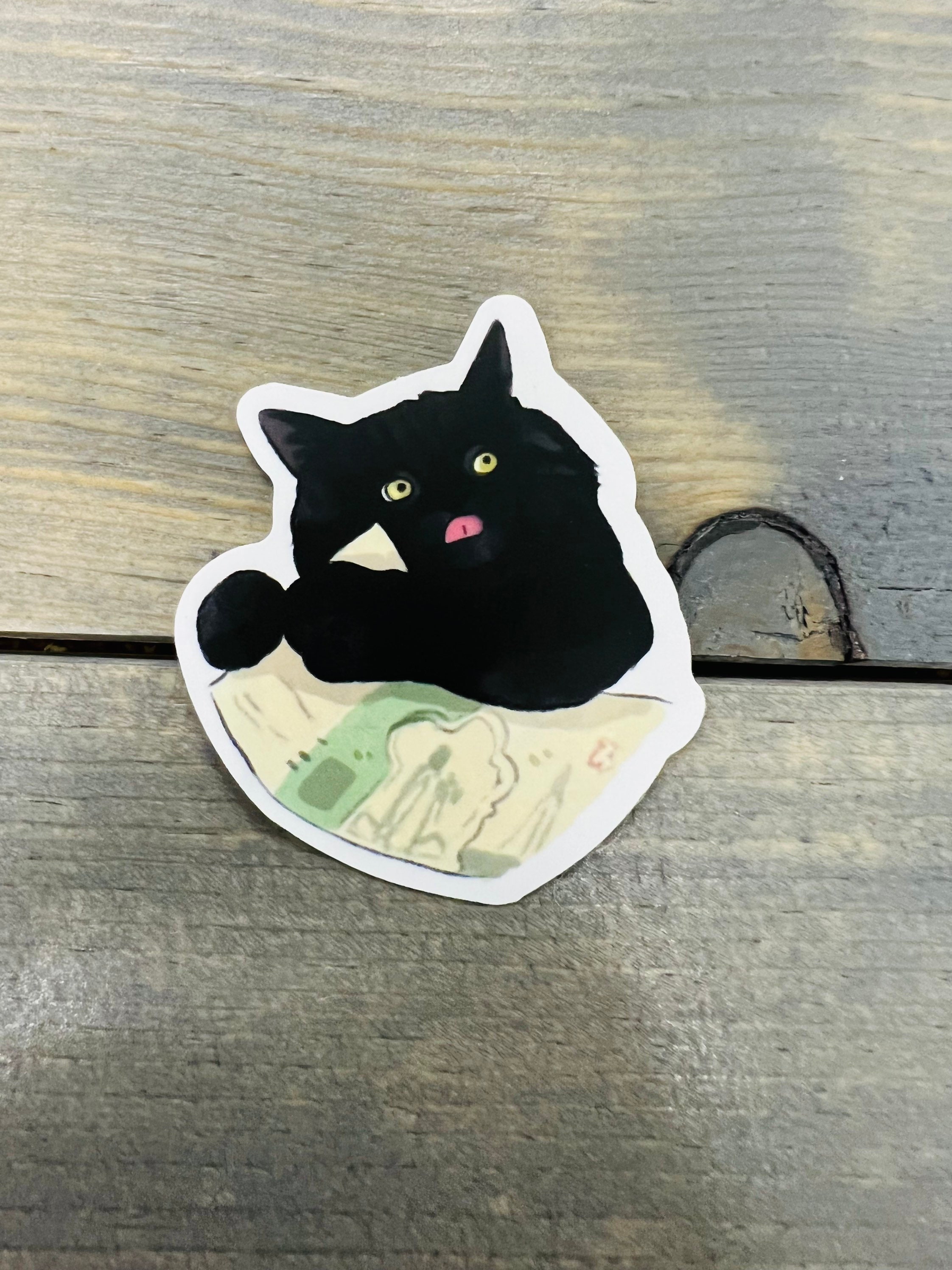 Sticker Cat Kitten Cute Girl Funny Aesthetic - Etsy