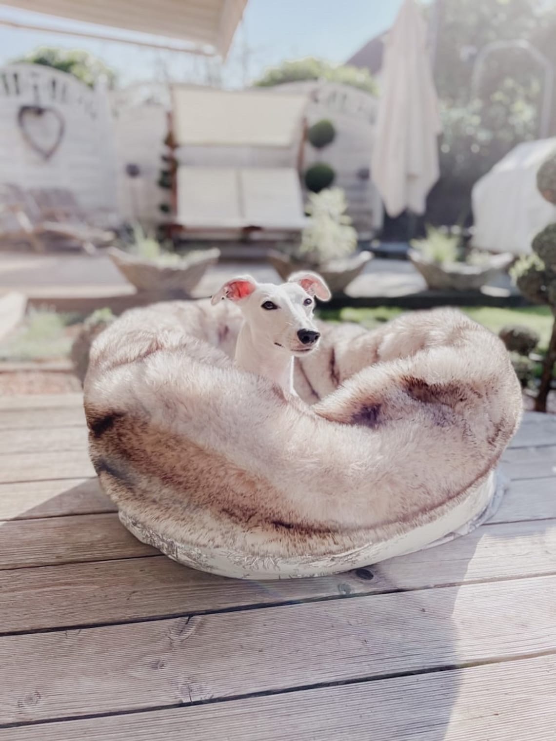 Cosy Cave Cave Dog Cave Greyhound Dog Bed Luxury Dog - Etsy