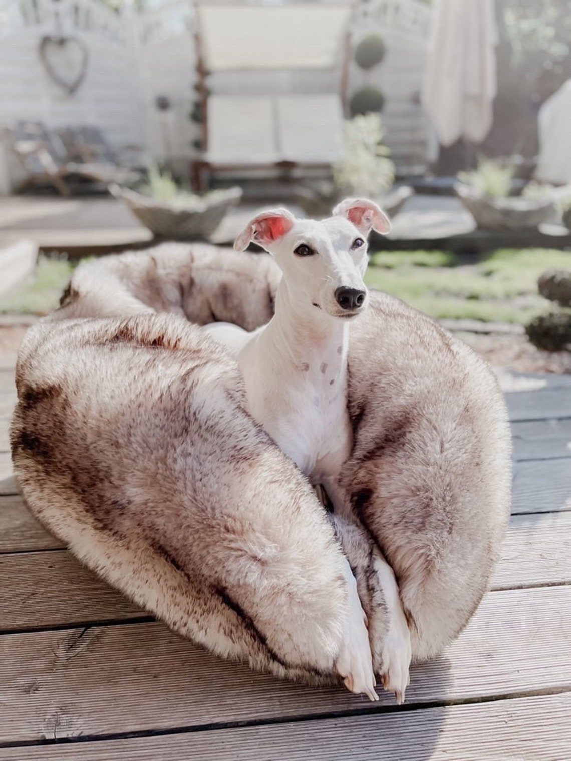 Cosy Cave Cave Dog Cave Greyhound Dog Bed Luxury Dog - Etsy