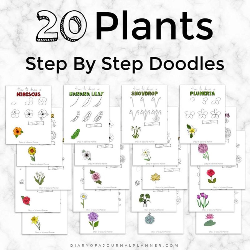 Doodle Tutorial Bundle Step by Step Doodles Learn How to - Etsy