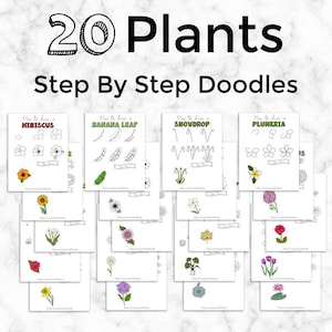Flower Doodle Tutorials, Floral Step by Step Doodles, Learn How to ...