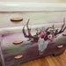SOLD Painted Vintage Furniture, Longhorn Skull Western Dresser Chest of ...