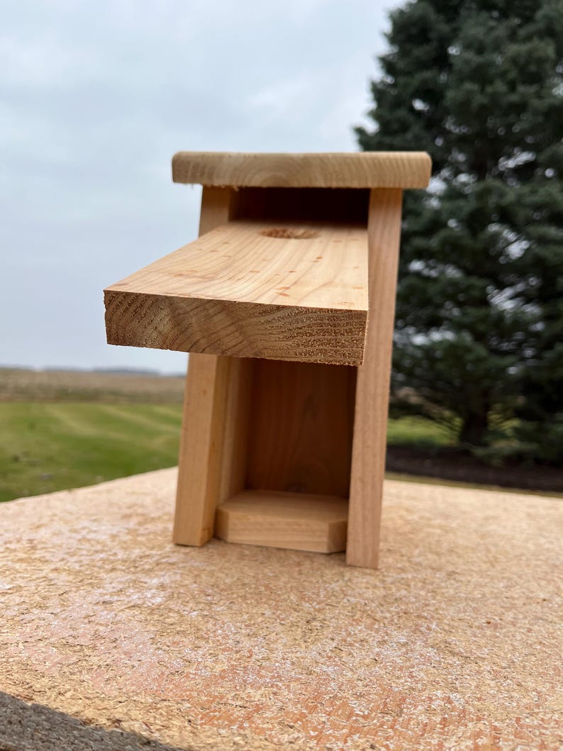 Bluebird House - Etsy