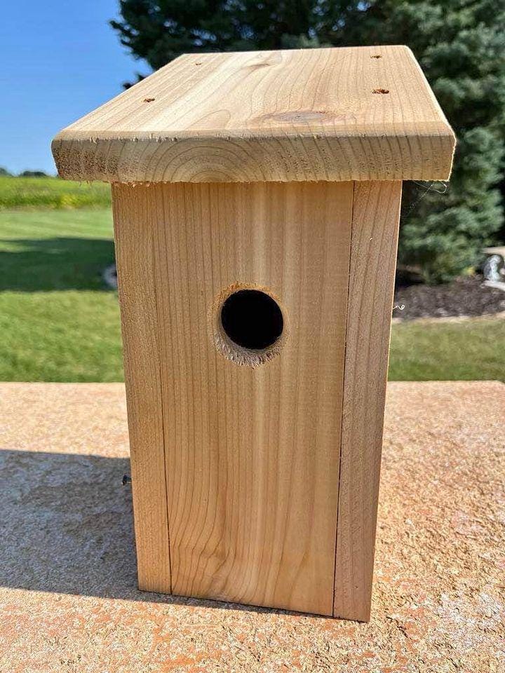 Bluebird House - Etsy