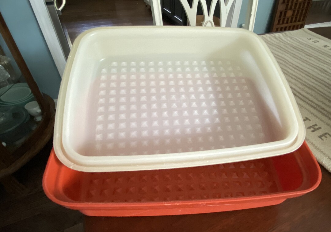 Tupperware 1518 Season N Serve Meat Marinade Container, Tupperware Meat ...