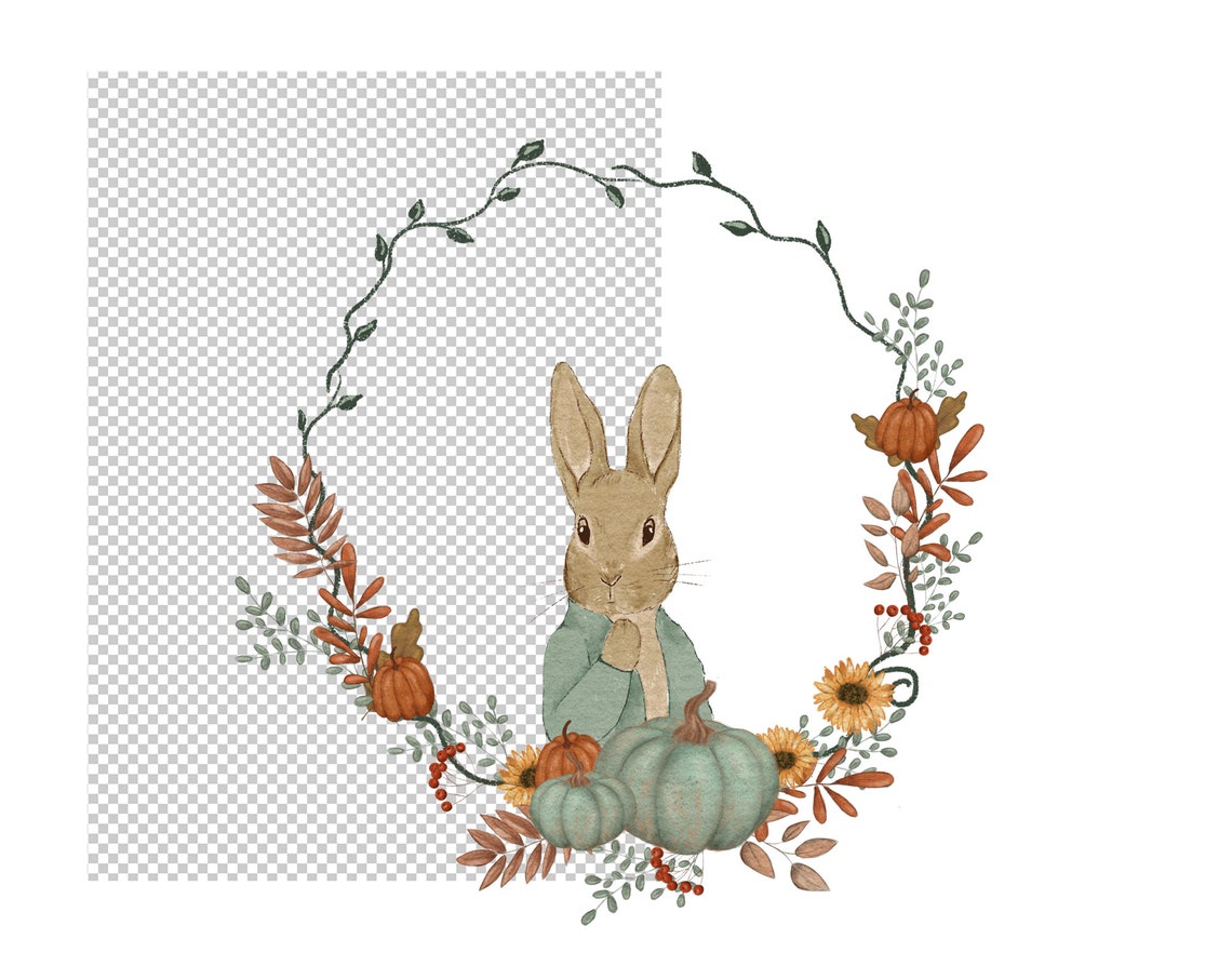 Peter Rabbit Clipart Peter Rabbit Baby Shower Clipart Peter - Etsy