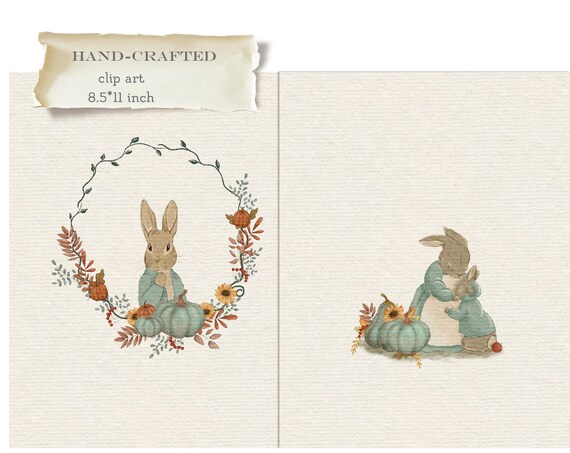 Peter Rabbit Clipart Birthday Invitation Bunny Wall Art - Etsy