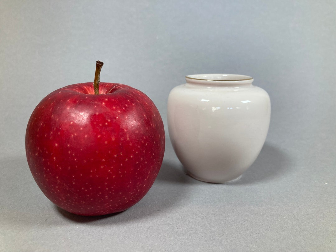 Small Metzler & Ortloff Vintage Vase From the 1930s Cream Pink Rose - Etsy