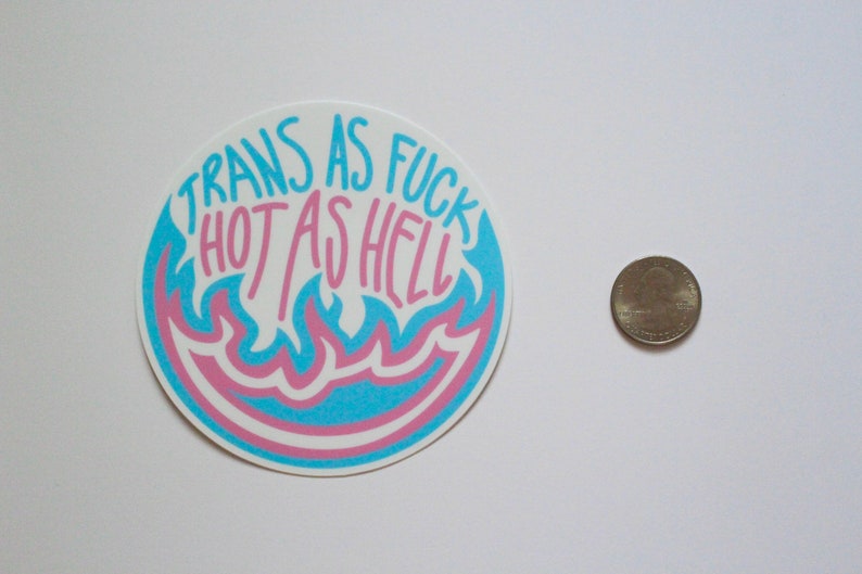 Transgender Pride Vinyl Sticker - Etsy