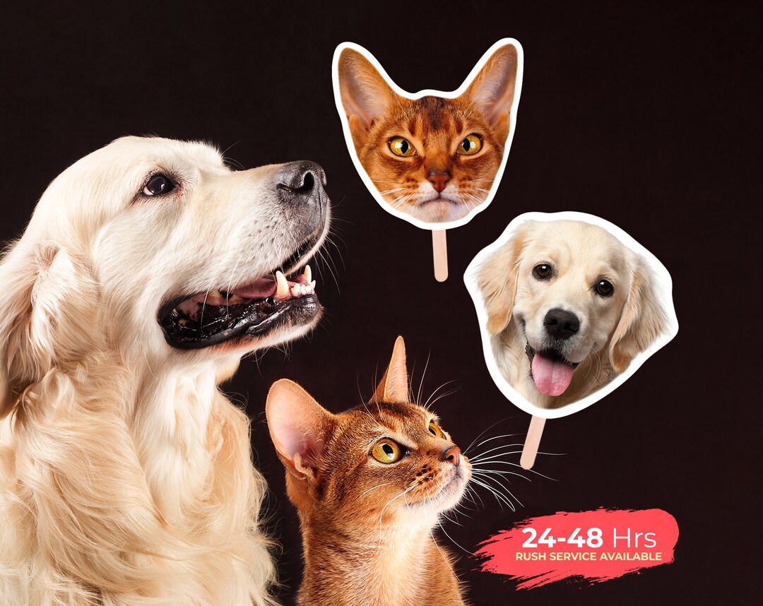 Pet Face Fans, Personalized Face on a Stick for Customized Pet ...