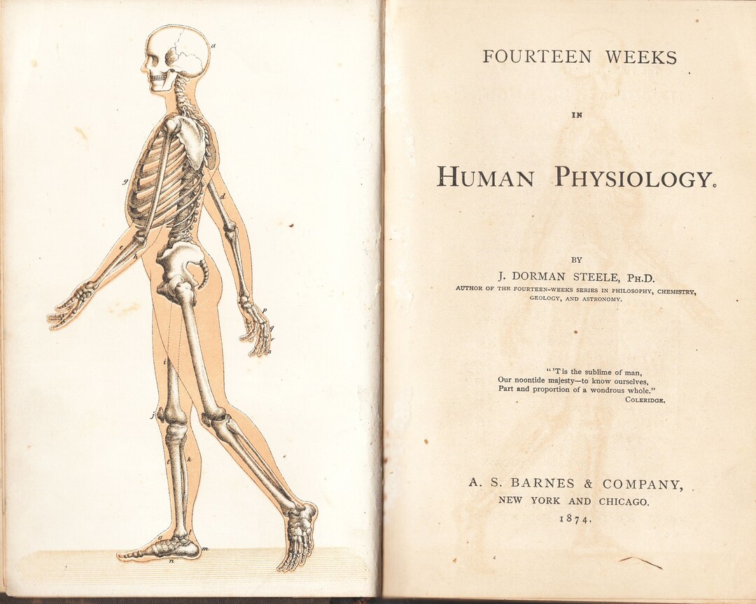 Fourteen Weeks in Human Physiology by J. Dorman Steele, Published by A ...