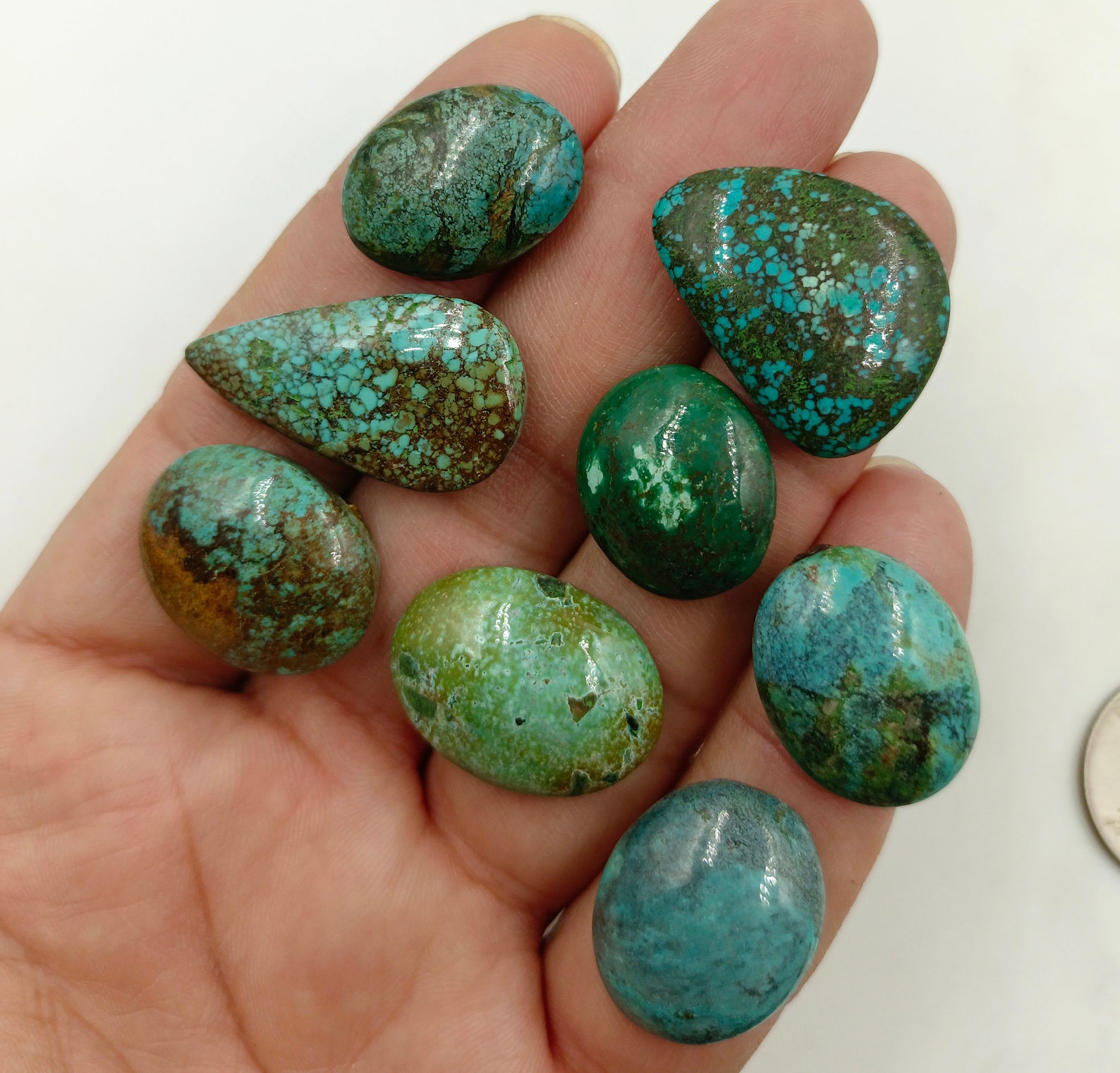 Turquoise Gemstone Natural Turquoise Cabochon 8 Pcs Lot | Etsy