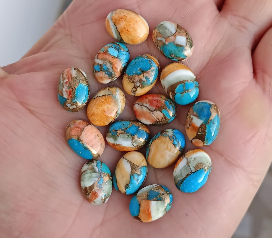 Oyster Turquoise Oval Shape Loose Smooth Polished Gemstone, Spiny ...