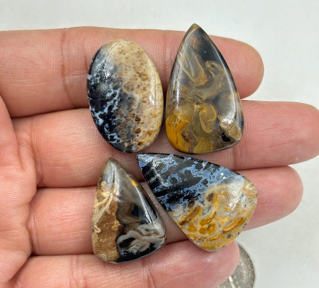 Palm Root Fossil Cabochon, Palm Root Gemstone Oval, Teardrop Cab for ...