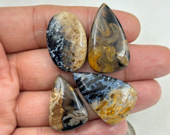 Palm Root Fossil Cabochon, Palm Root Gemstone Oval, Teardrop Cab for ...