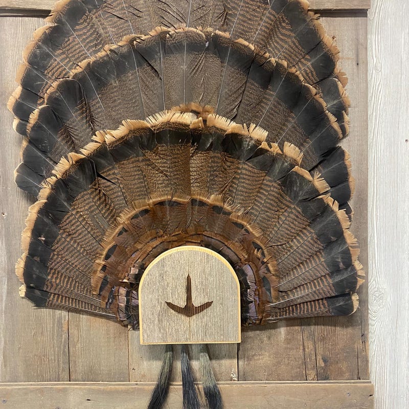 Turkey Fans Painted - Etsy