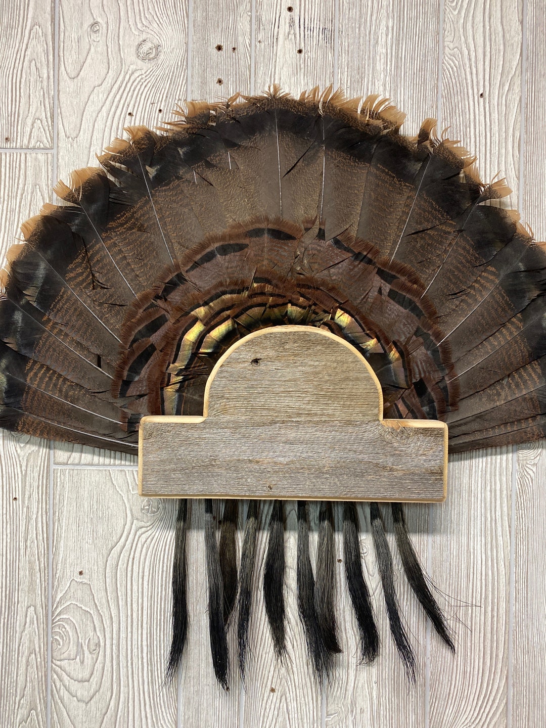 Turkey Beard Fan Mount Display - Etsy