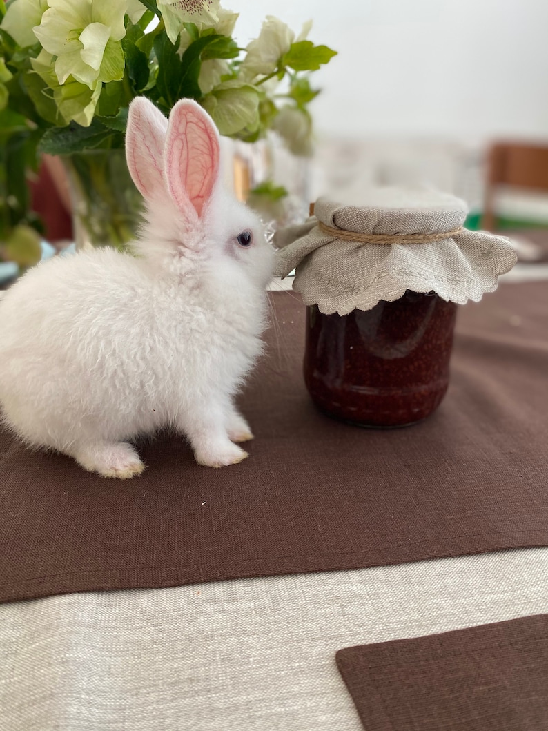 Cottagecore Linen Jam Jar Lid Covers Kitchen Food Storage - Etsy
