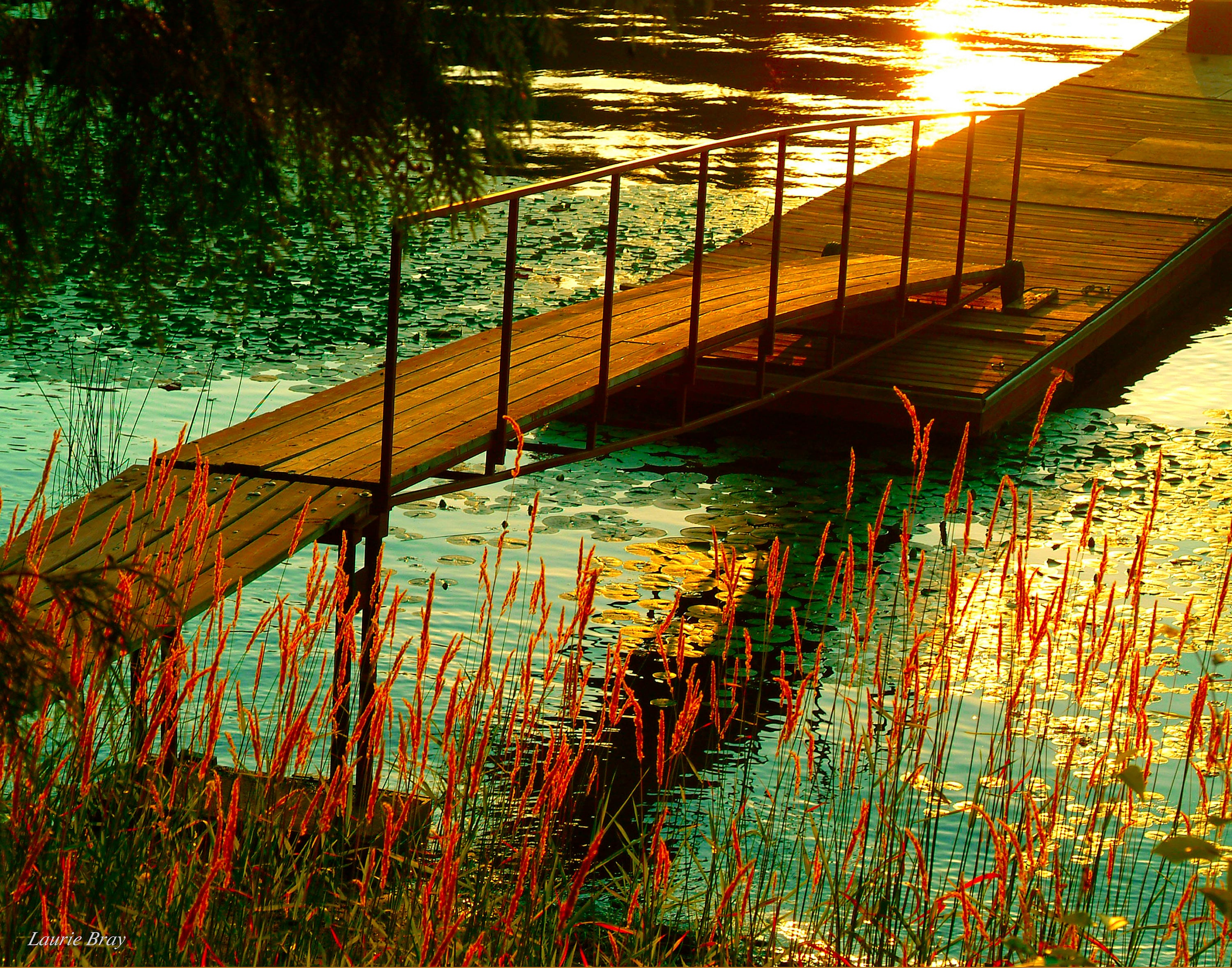 Spirit Lake Bridge, Bridge Over Water, Lake Bridge, Lake, Peaceful Walk ...