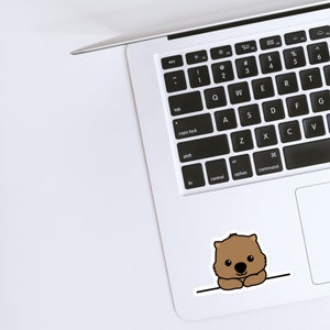 Wombat Sticker Cute Wombat Sticker Baby Wombat Stickers for Wombat ...