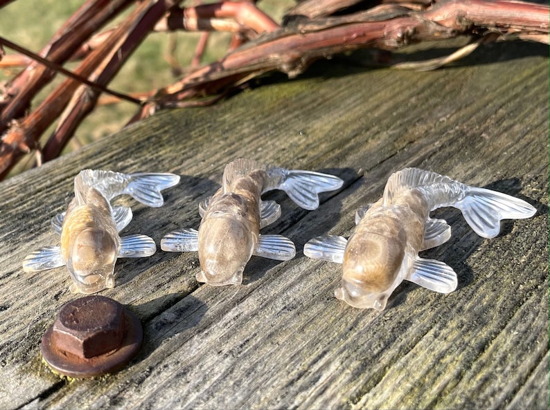 Petoskey Stone Koi Fish | Real Hexagonaria Fossil Koi Fish | Petoskey ...