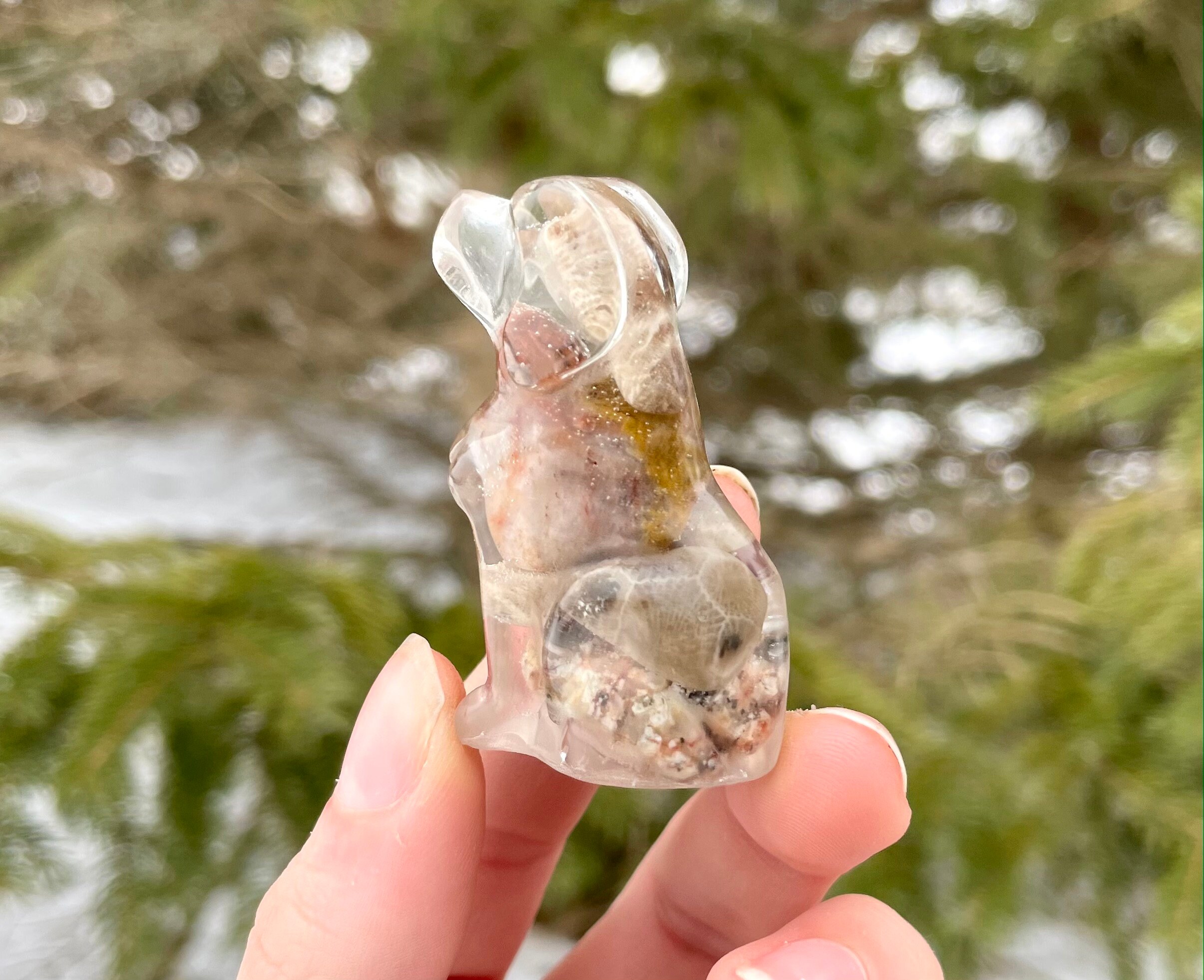 Petoskey Stone Dogs Real Hexagonaria Fossil Dogs Petoskey Stone Animal ...