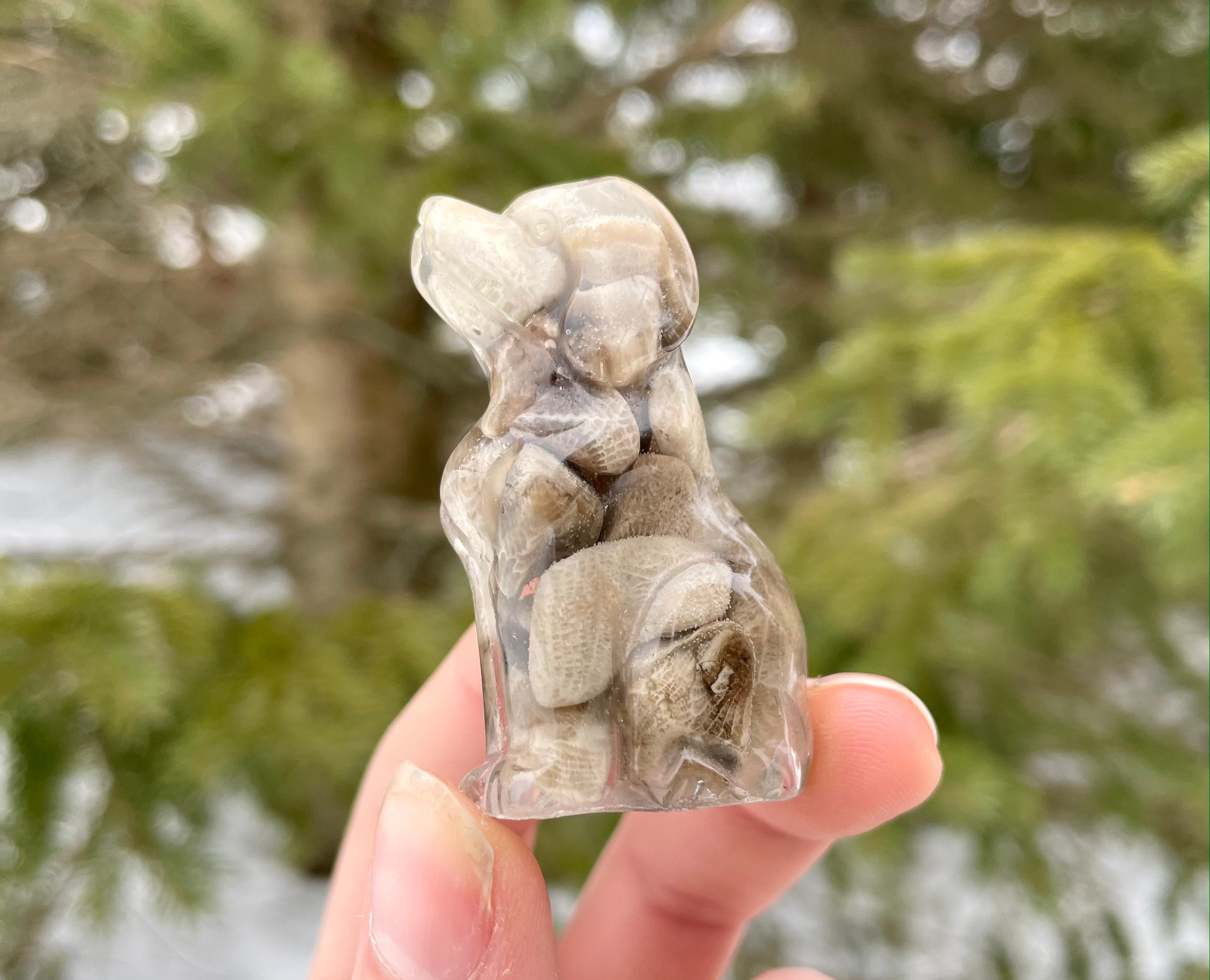 Petoskey Stone Dogs Real Hexagonaria Fossil Dogs Petoskey Stone Animal ...