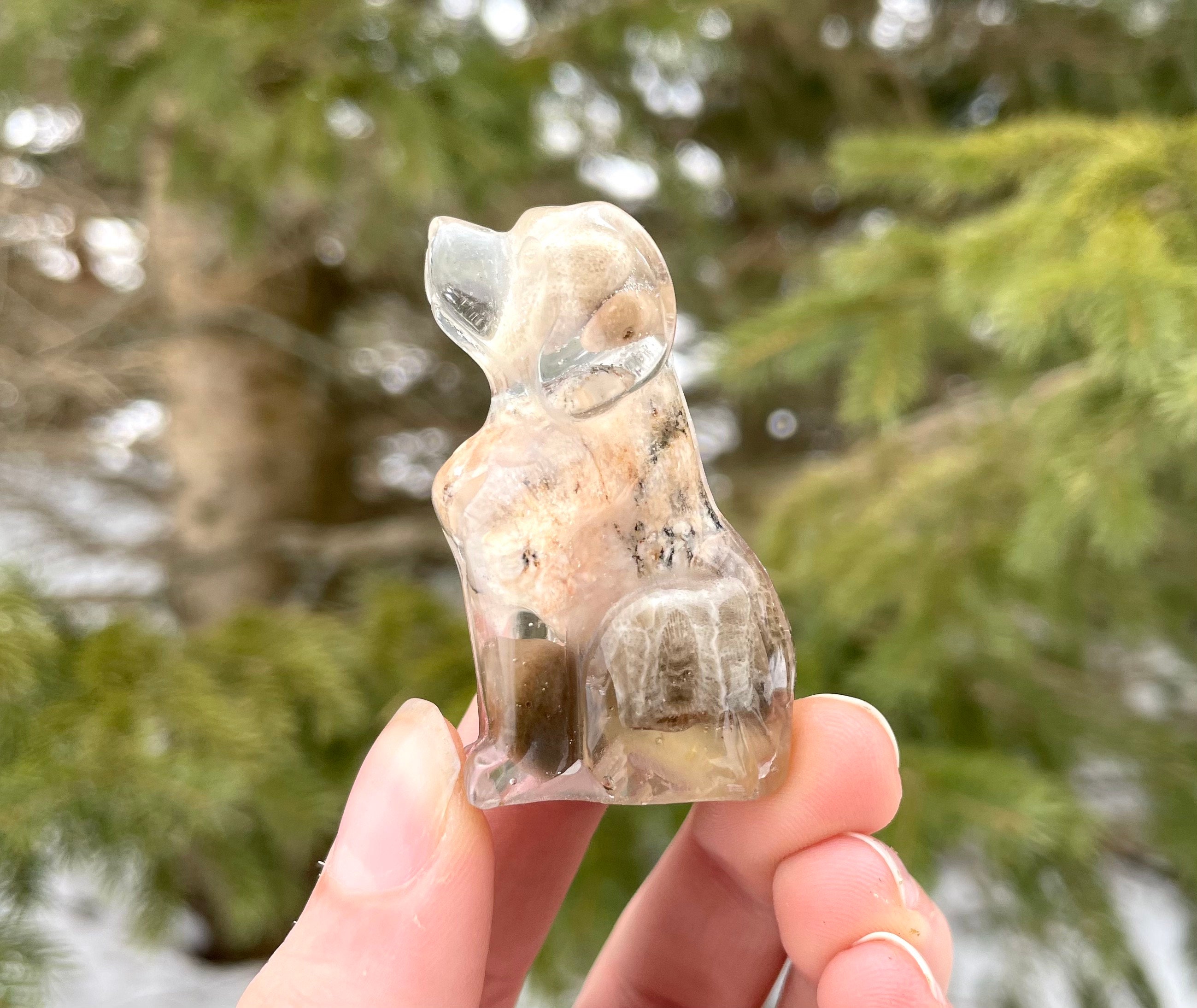 Petoskey Stone Dogs Real Hexagonaria Fossil Dogs Petoskey Stone Animal ...