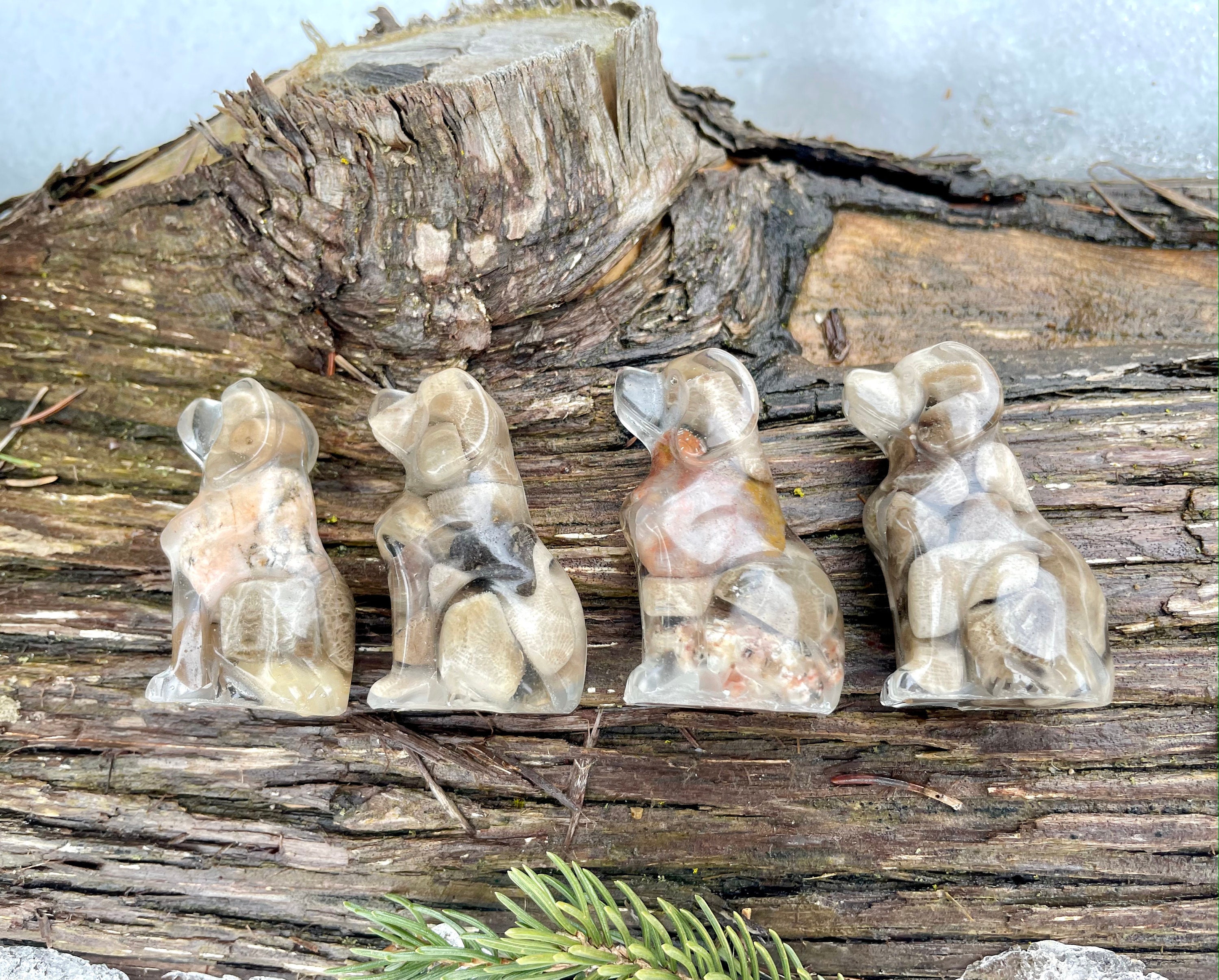 Petoskey Stone Dogs Real Hexagonaria Fossil Dogs Petoskey Stone Animal ...