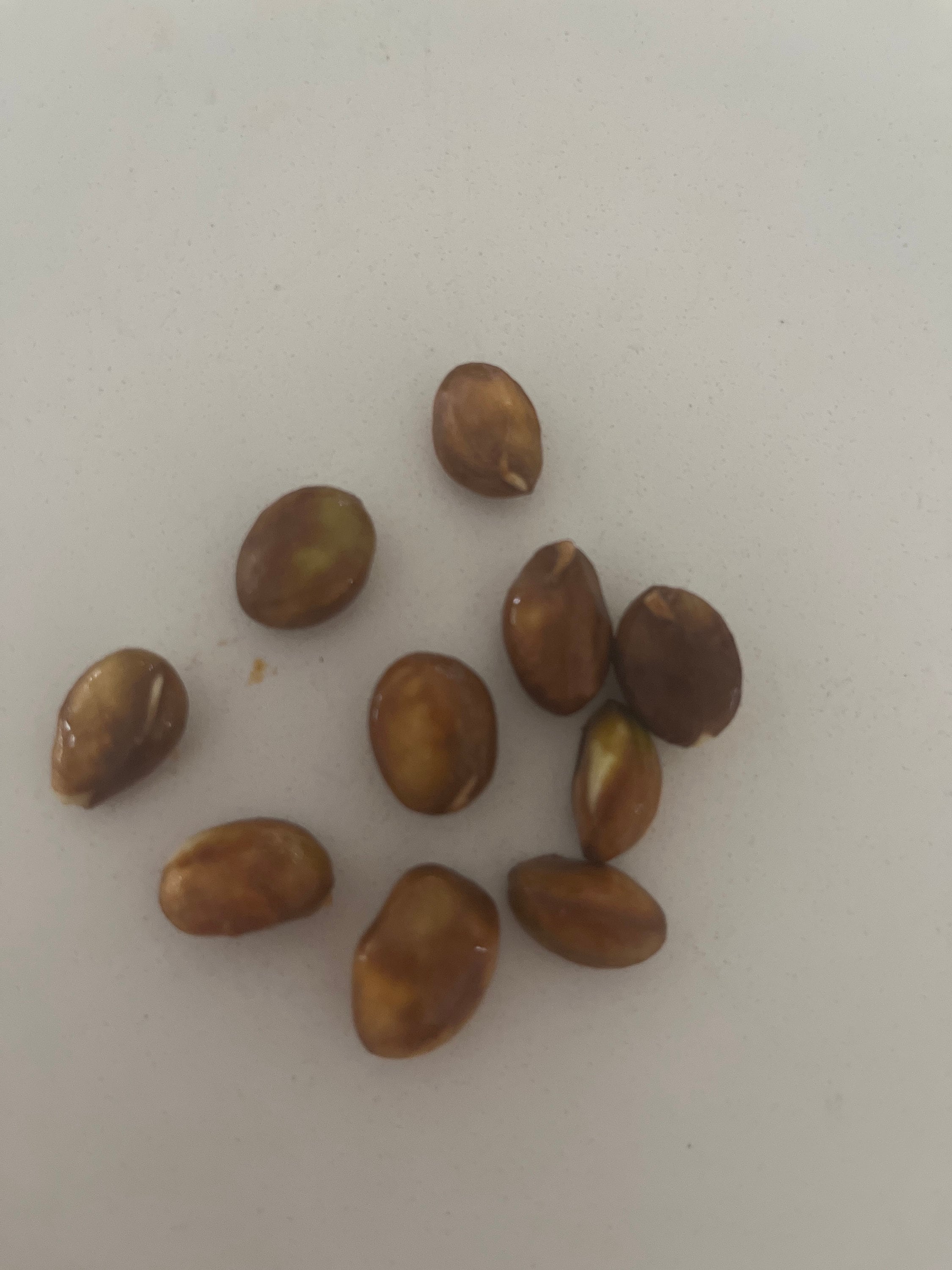 Loquat Tree Seeds- Japanese Plum Tree Seeds - Etsy