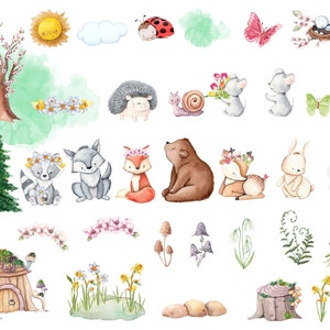 Woodland Animal Spring Watercolor Clipart. Clipart of Forest Animals ...