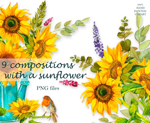 Sunflower Watercolor Clipart. Summer Boho Flower Sunflowers - Etsy