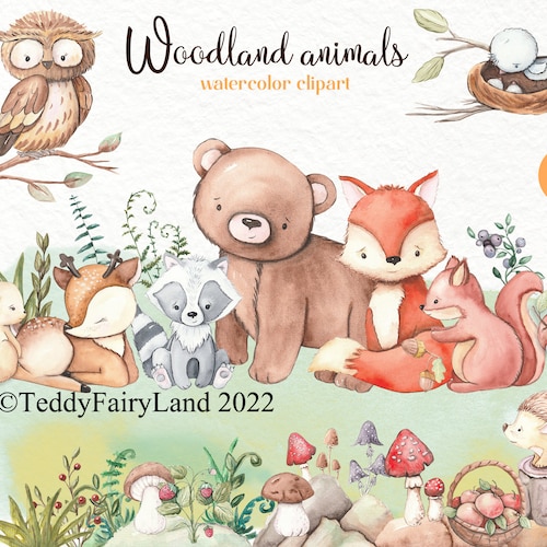 Little Woodland Clipart Cute Baby Animals Watercolor Animal - Etsy