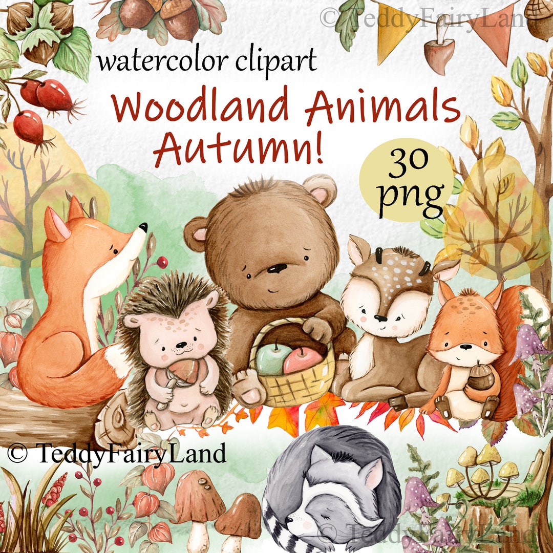 Woodland Animals Autumn. Cute Forest Animals Watercolor Clipart ...