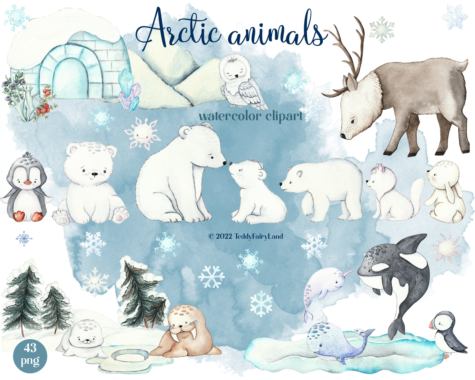 Arctic Animals Watercolor Cliparts Polar Animals North Pole - Etsy