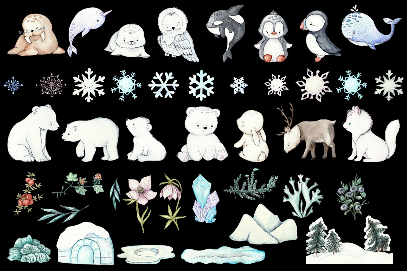 Arctic Animals Watercolor Cliparts Polar Animals North Pole - Etsy