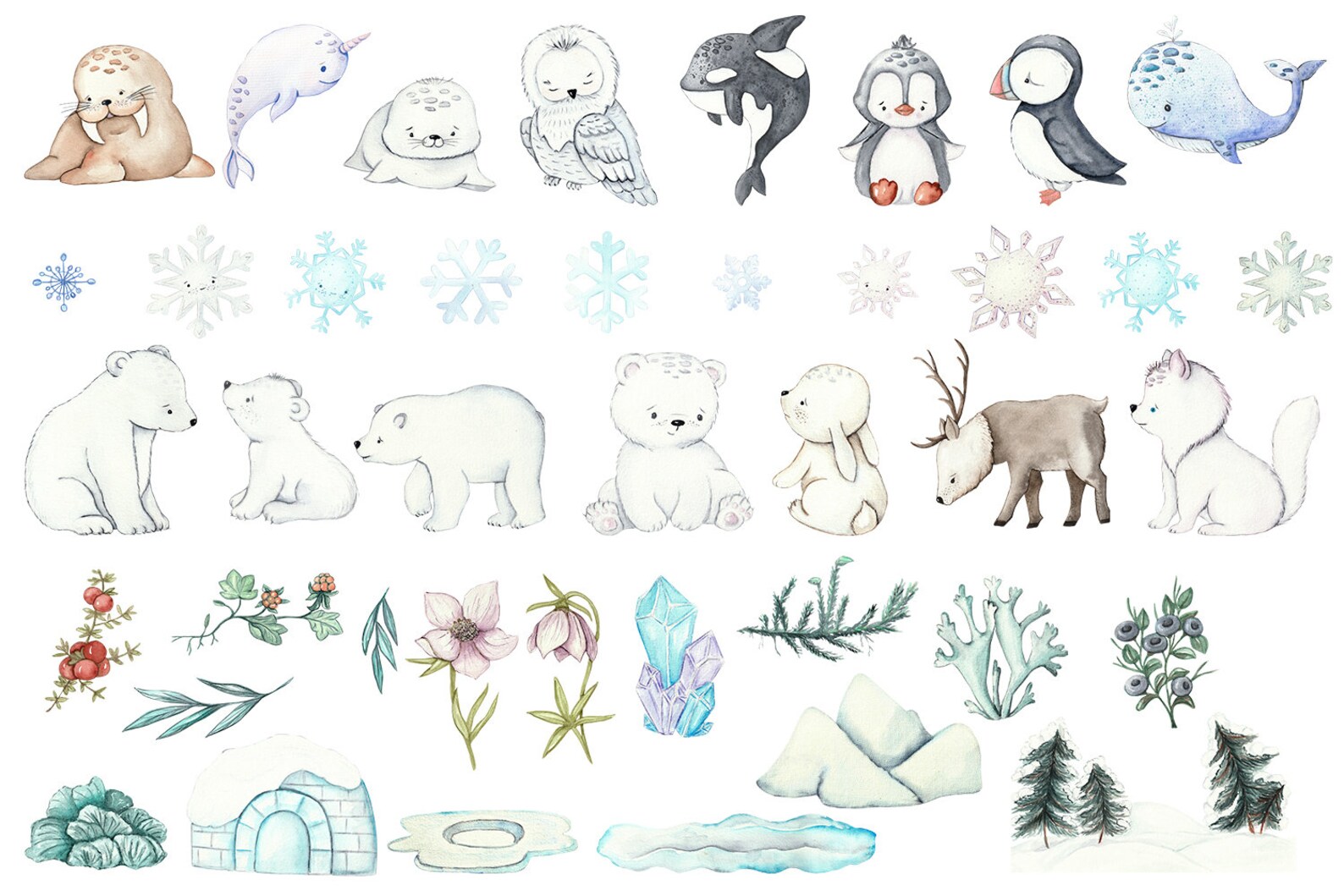 Arctic Animals Watercolor Cliparts Polar Animals North Pole - Etsy