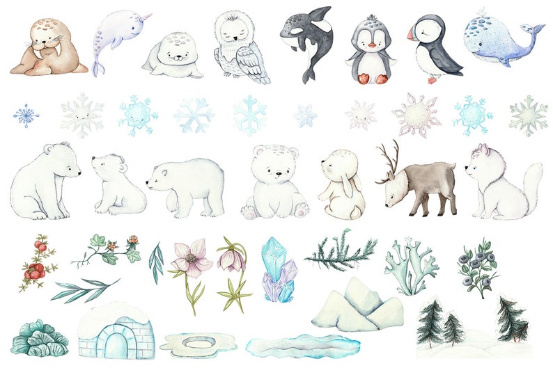 Arctic Animals Watercolor Cliparts Polar Animals North Pole - Etsy