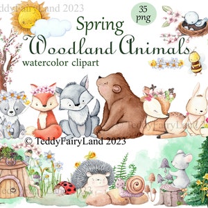 Woodland Animal Spring Watercolor Clipart. Clipart of Forest Animals ...