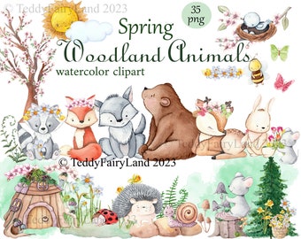 Woodland Animals Watercolor Clipart Commercial Use - Etsy