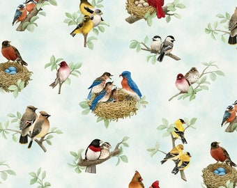 Beautiful Birds Fabric - Etsy