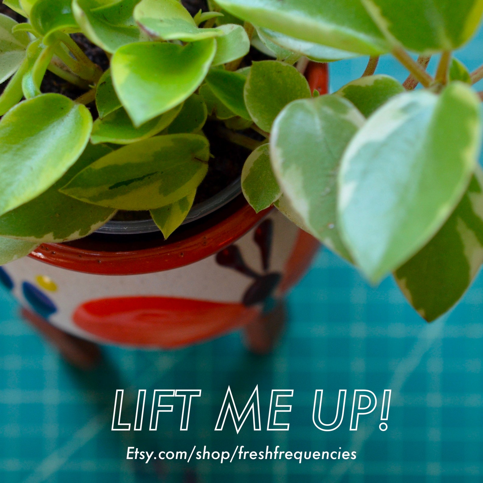 Simple Wooden Plant Stand - Etsy