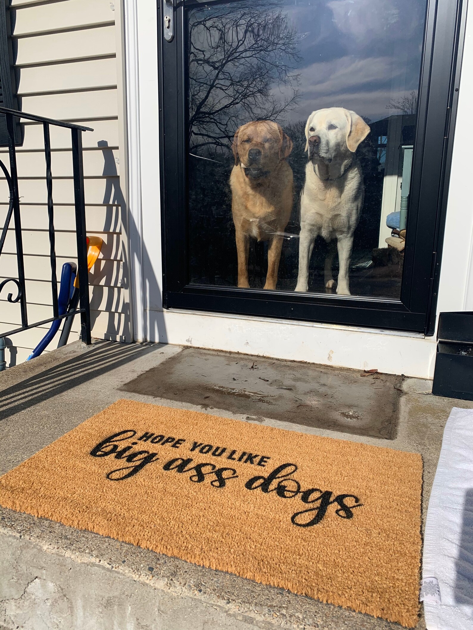 Hope You Like Big Ass Dogs Doormat Dog Lover Door Mat / | Etsy