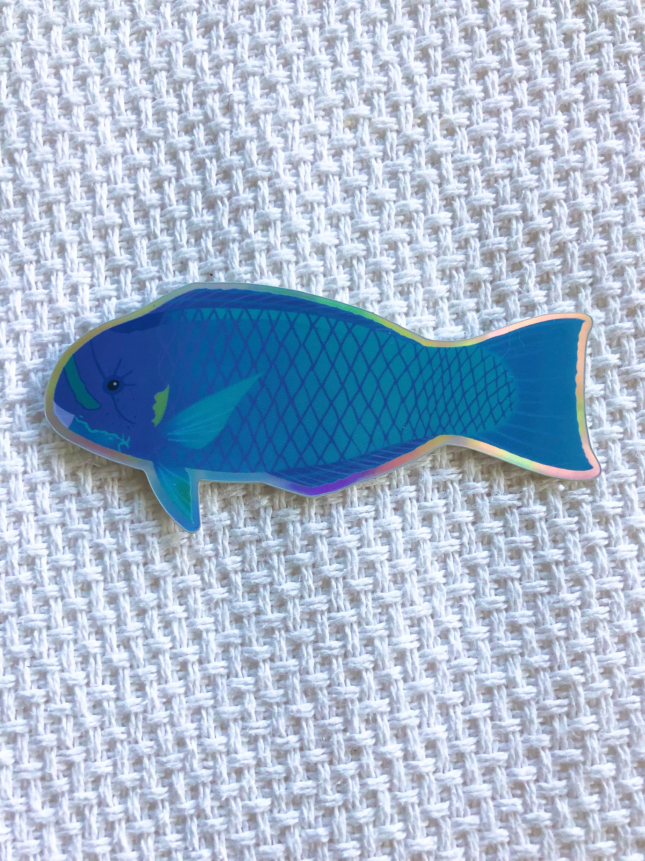 Spectacled Parrotfish