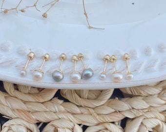 Screw Back Earrings - Etsy