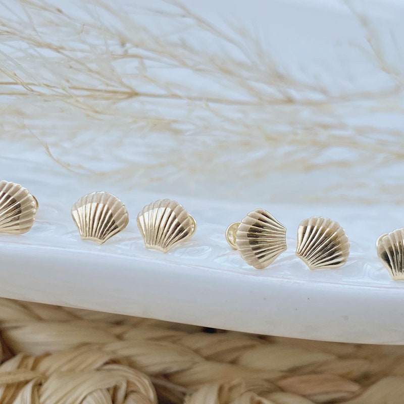 Seashell Earrings - Etsy