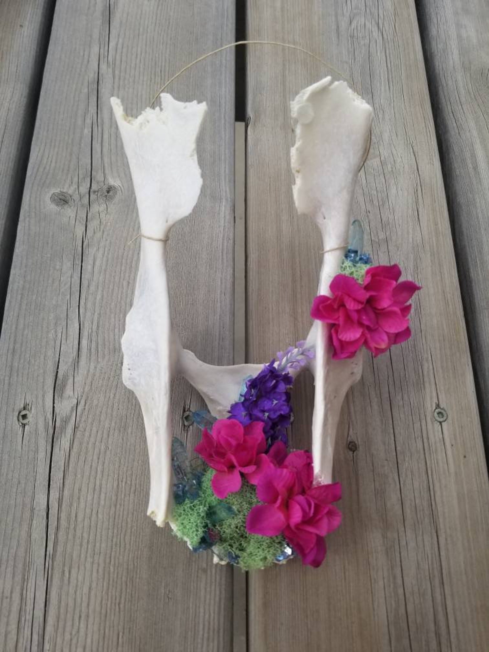 Taxidermy decor Real bone Animal bone art Witchcraft decor | Etsy