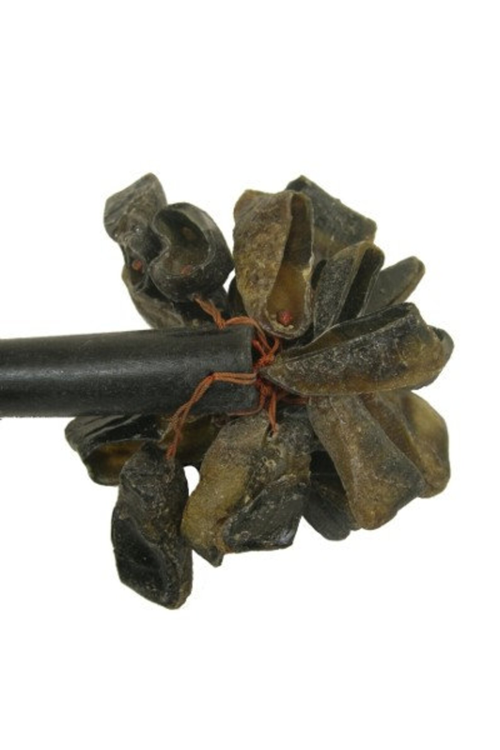 Goat Toe Rattle by Africa Heartwood Project | Etsy