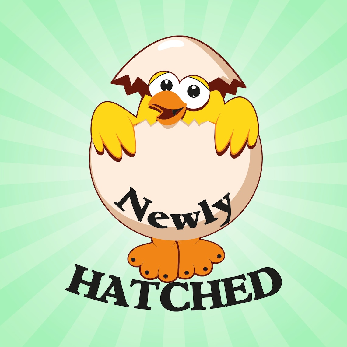 Newly Hatched Svg Just Hatched Svg Baby Svg New Born Svg - Etsy