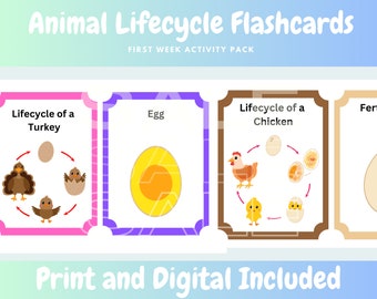 Life Cycles Printable Pack - Etsy